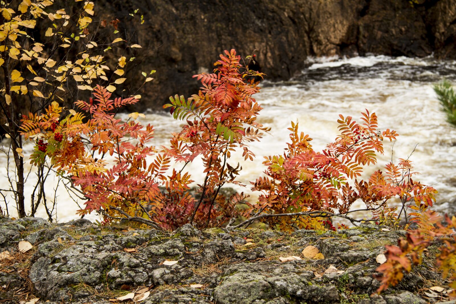 Canon EOS 7D sample photo - 27fb8lNm7v - ExploreCams