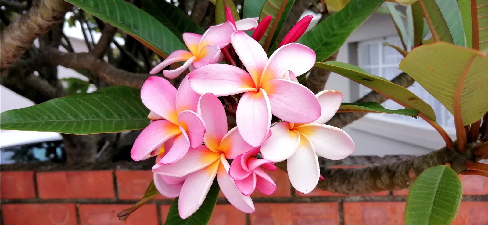 HUAWEI STK-L22 sample photo - 8w2DdAlbZR - ExploreCams