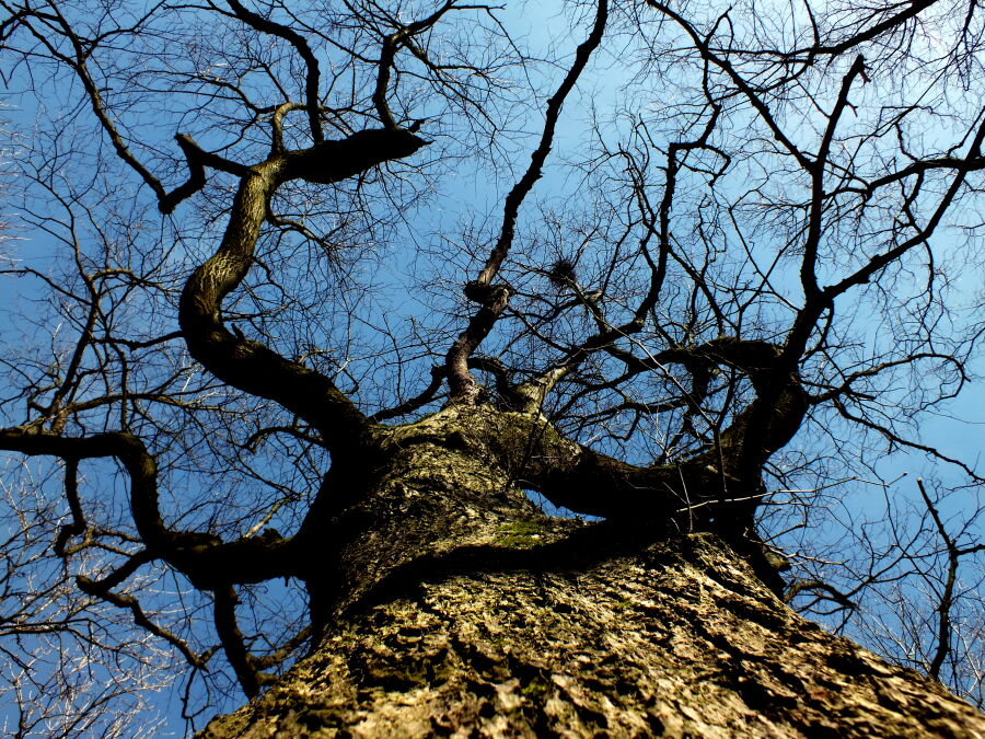 FujiFilm FinePix HS20 EXR (FinePix HS22 EXR) sample photo - AHSMPEuxRK ...