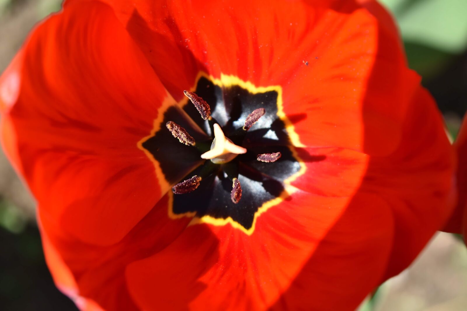 Nikon D5500 sample photo - AlWwdPOvNS - ExploreCams