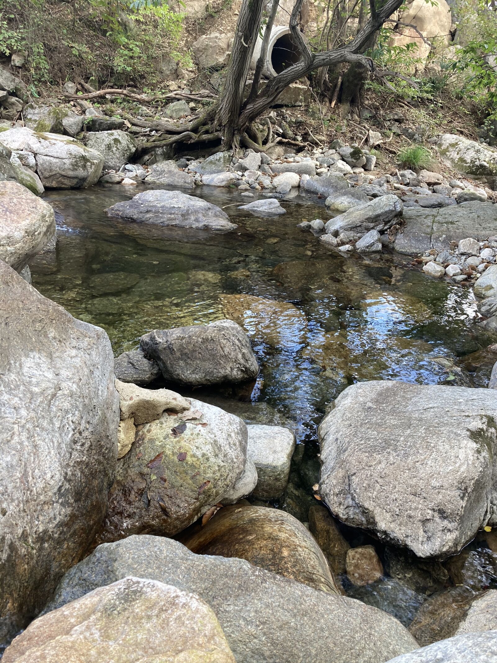 iPhone SE (2nd generation) back camera 3.99mm f/1.8 sample photo ...