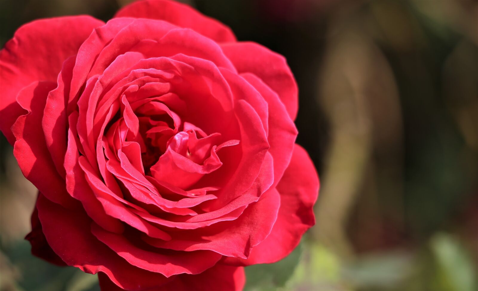 Canon EOS 6D sample photo - CnKAfutxxm - ExploreCams