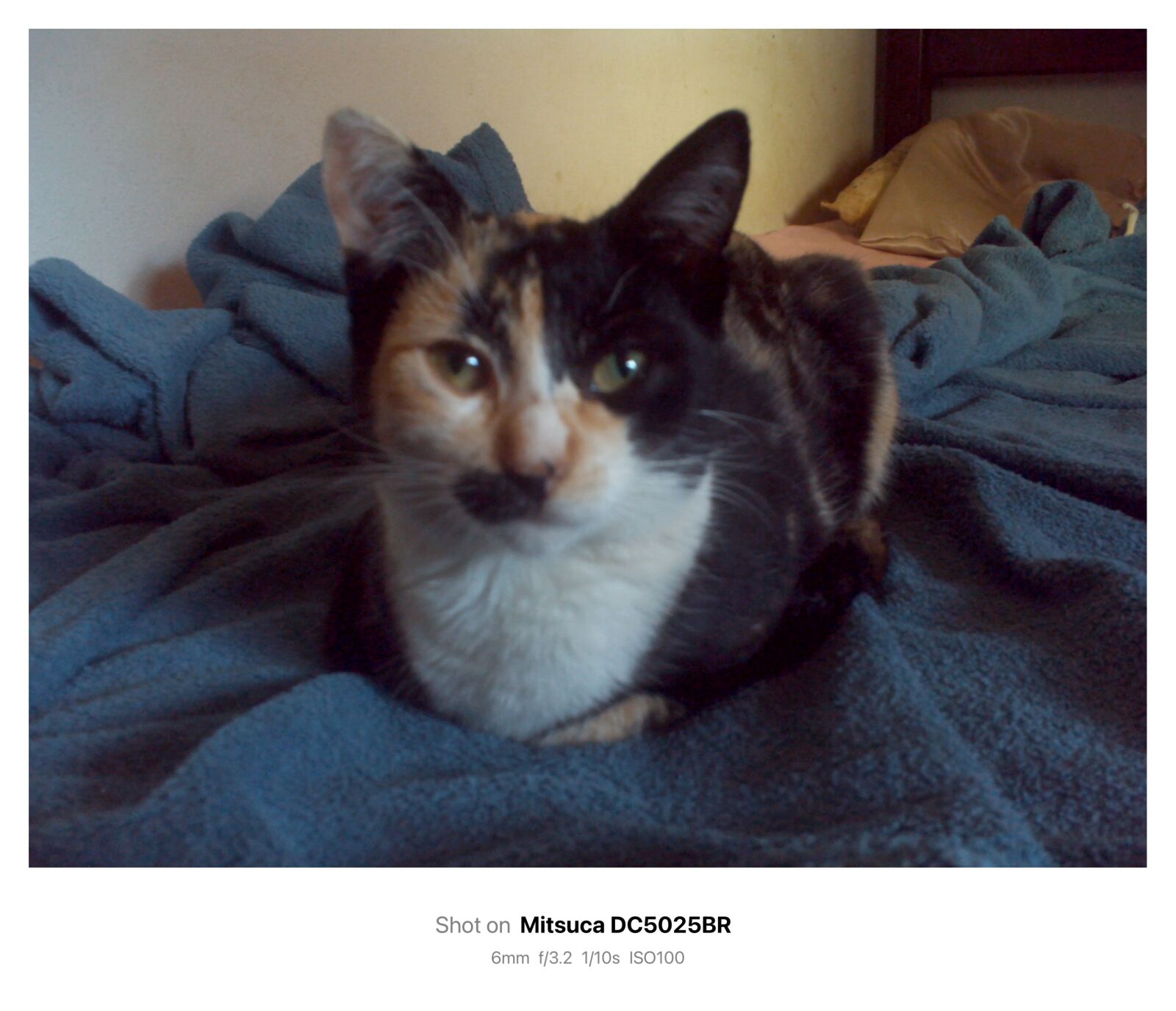 DIGITAL CAM sample photo - EGsYrYwjmI - ExploreCams