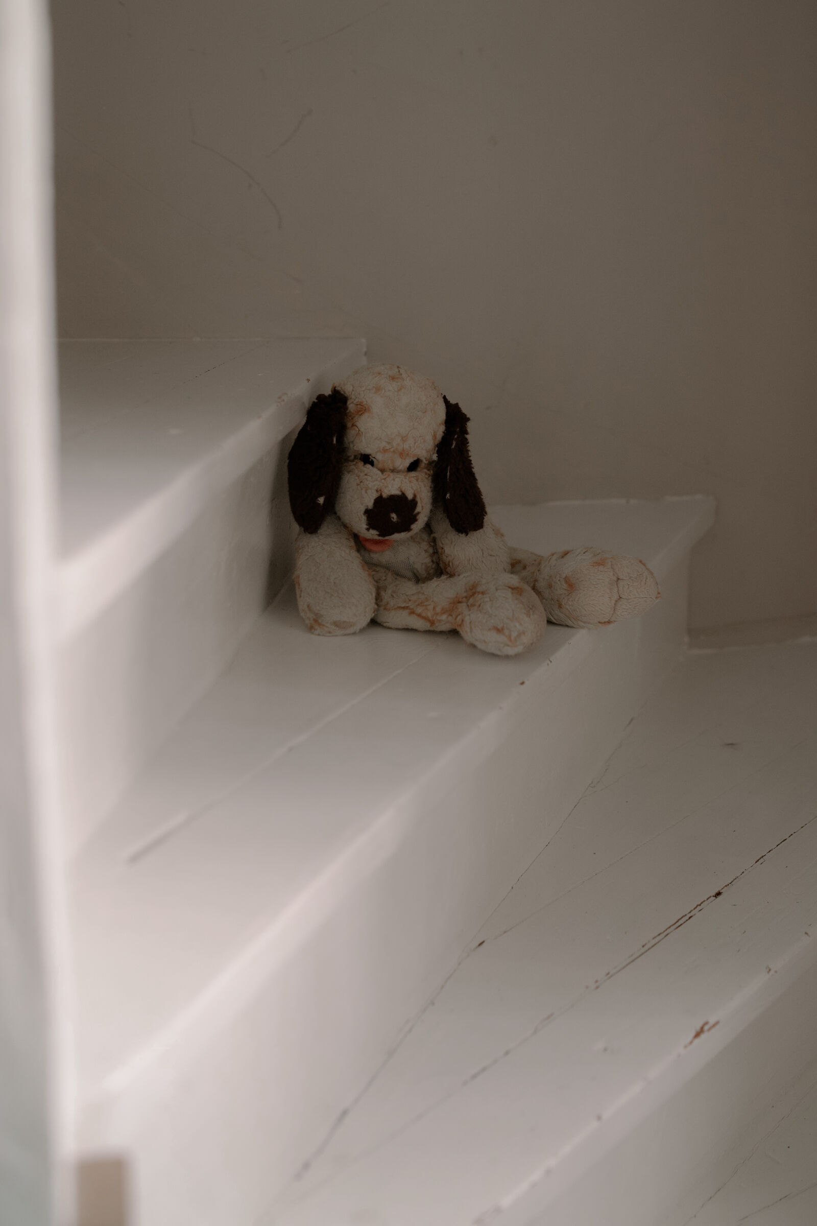 Sony a7 II sample photo - G0cA1YX5jZ - ExploreCams