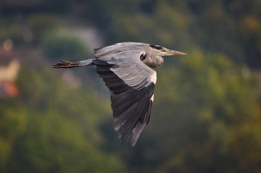 Nikon D90 sample photo - GYfZVbNQdK - ExploreCams