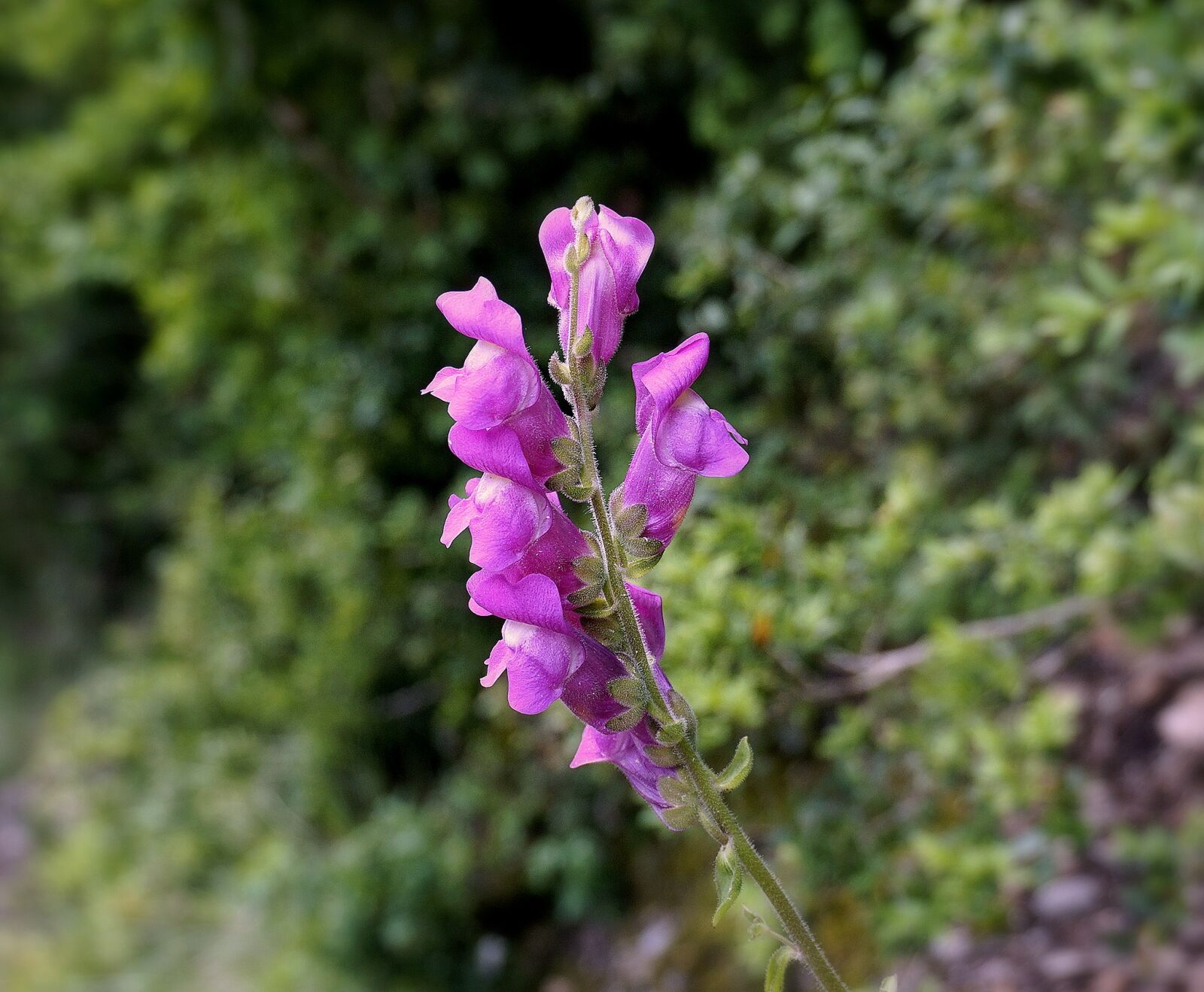 Sony A6000 Sample Photo HBofiEjeqj ExploreCams Sony A6000 Sample Photo HBofiEjeqj ExploreCams