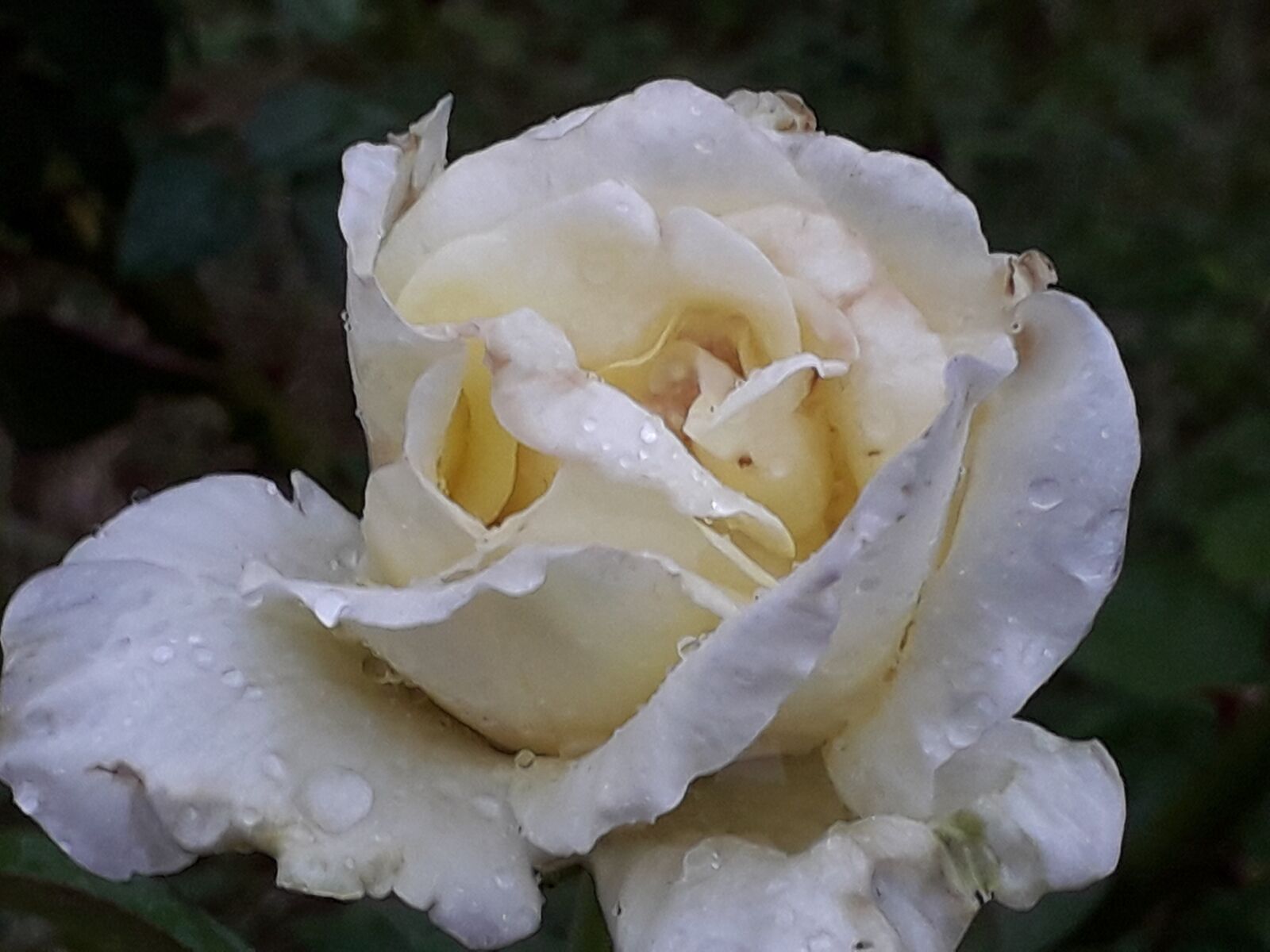 Samsung SM-M105F sample photo - Ho9j0Ls7qh - ExploreCams