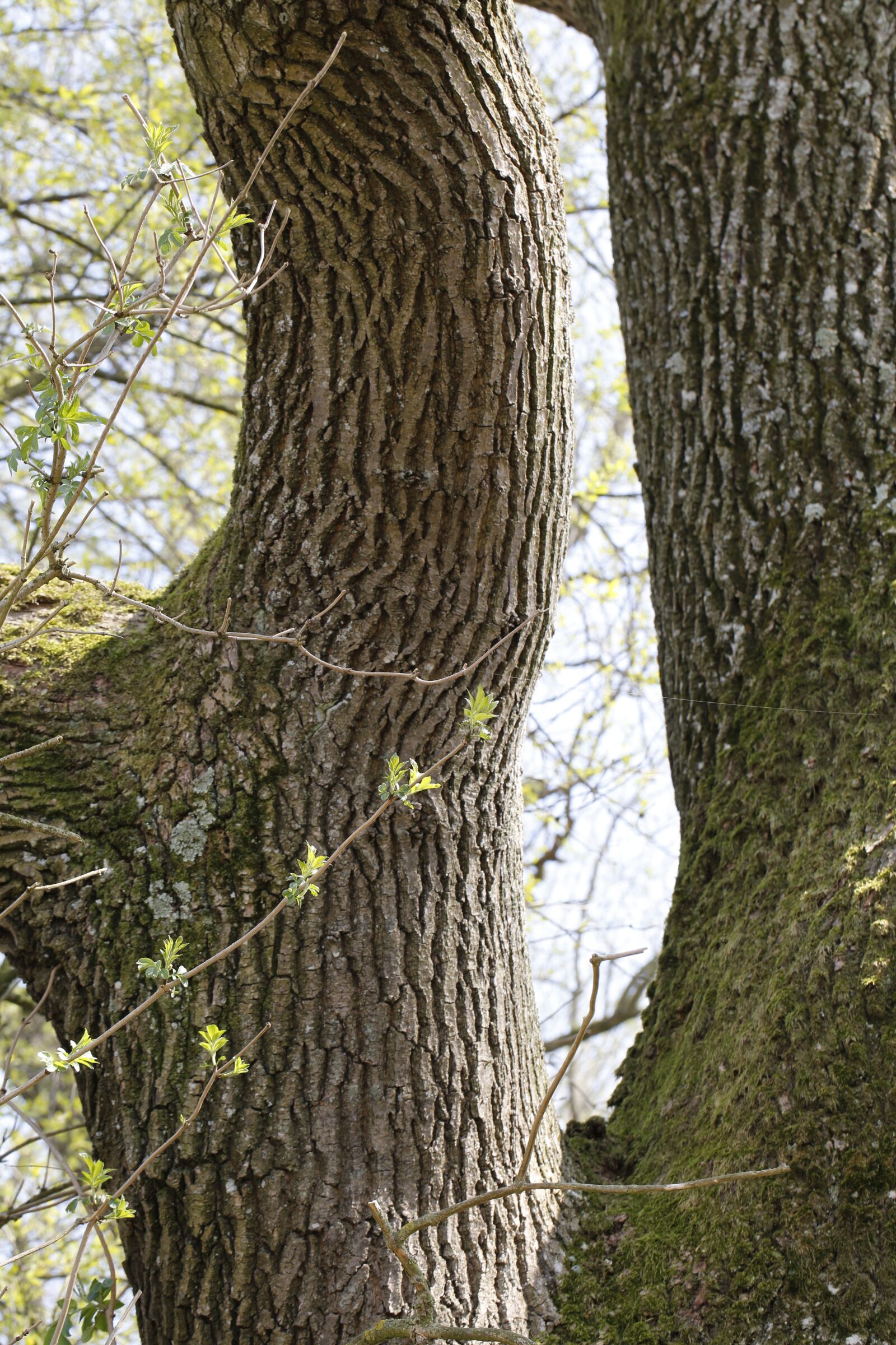 Canon EOS 5D Mark III sample photo - IdPgIY3bVX - ExploreCams