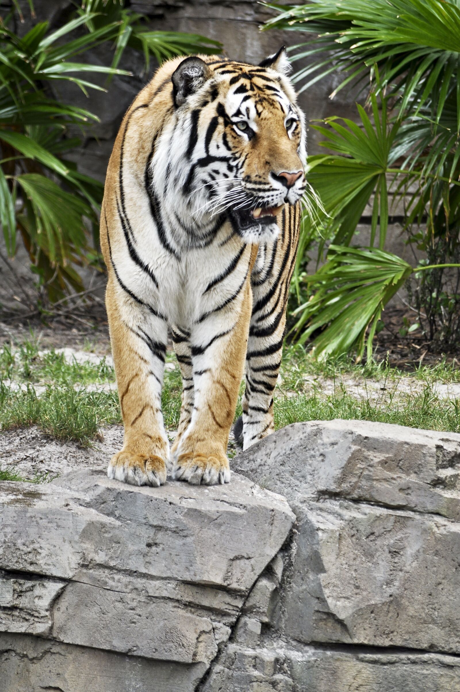 Nikon D5000 sample photo - IdVjgjtEUB - ExploreCams