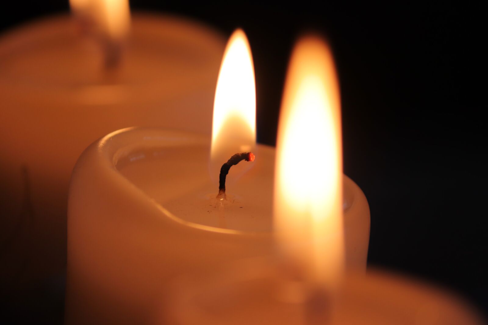 Canon EOS 200D (EOS Rebel SL2 / EOS Kiss X9) sample photo - IifcUHkITq ...