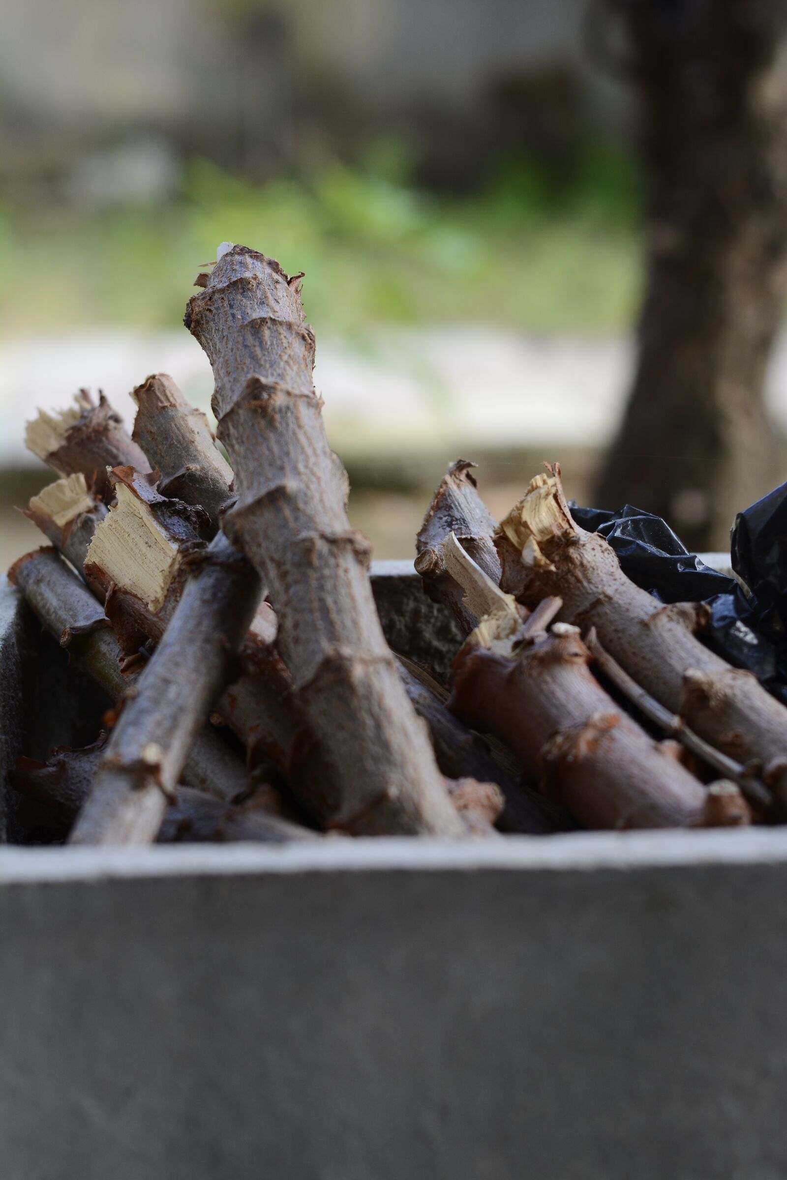 Nikon D5200 sample photo - KBQaHmO99m - ExploreCams