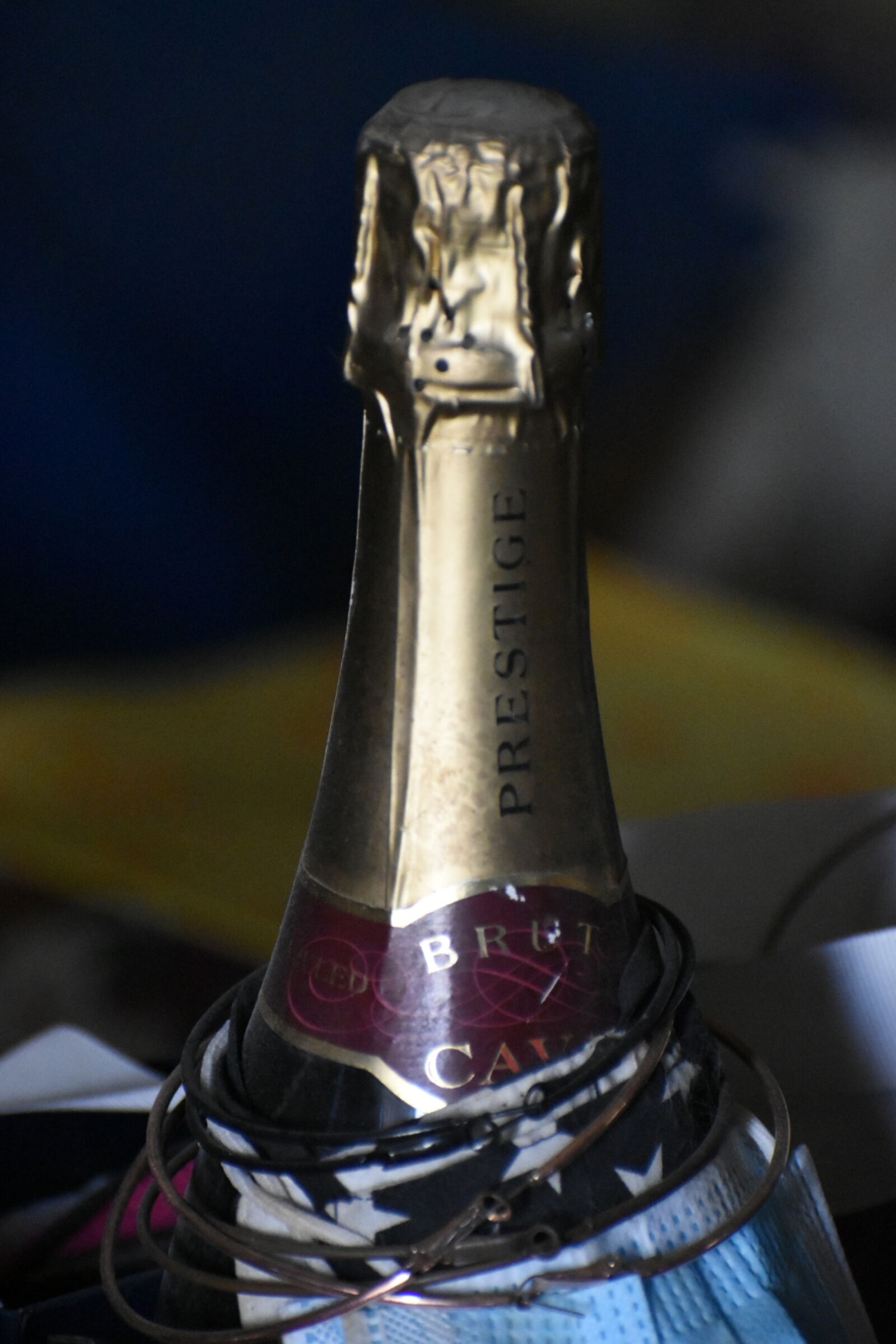 Nikon D5600 sample photo - LvOo2hg14S - ExploreCams