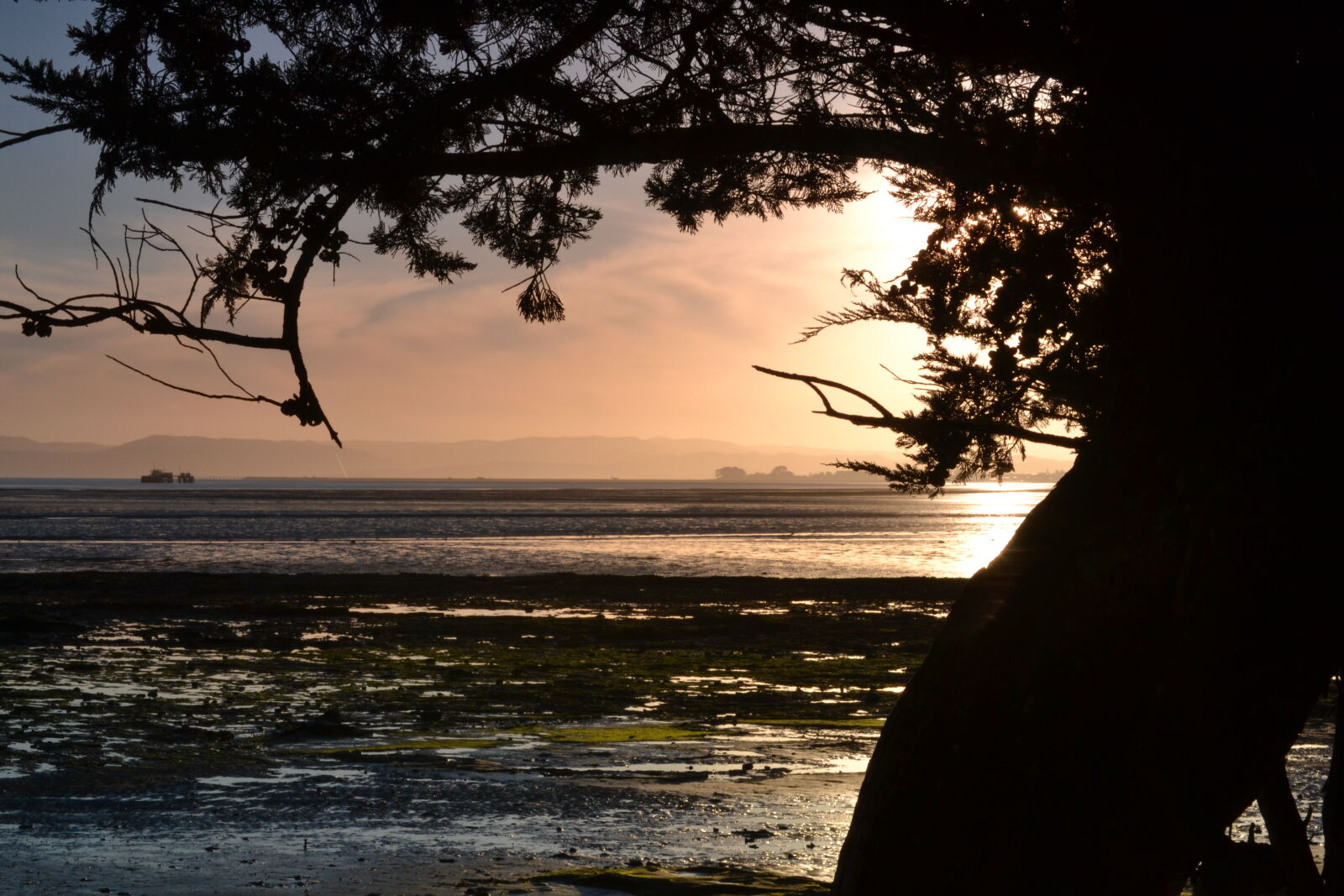 Nikon D3100 sample photo - MY6Kn3CpmA - ExploreCams