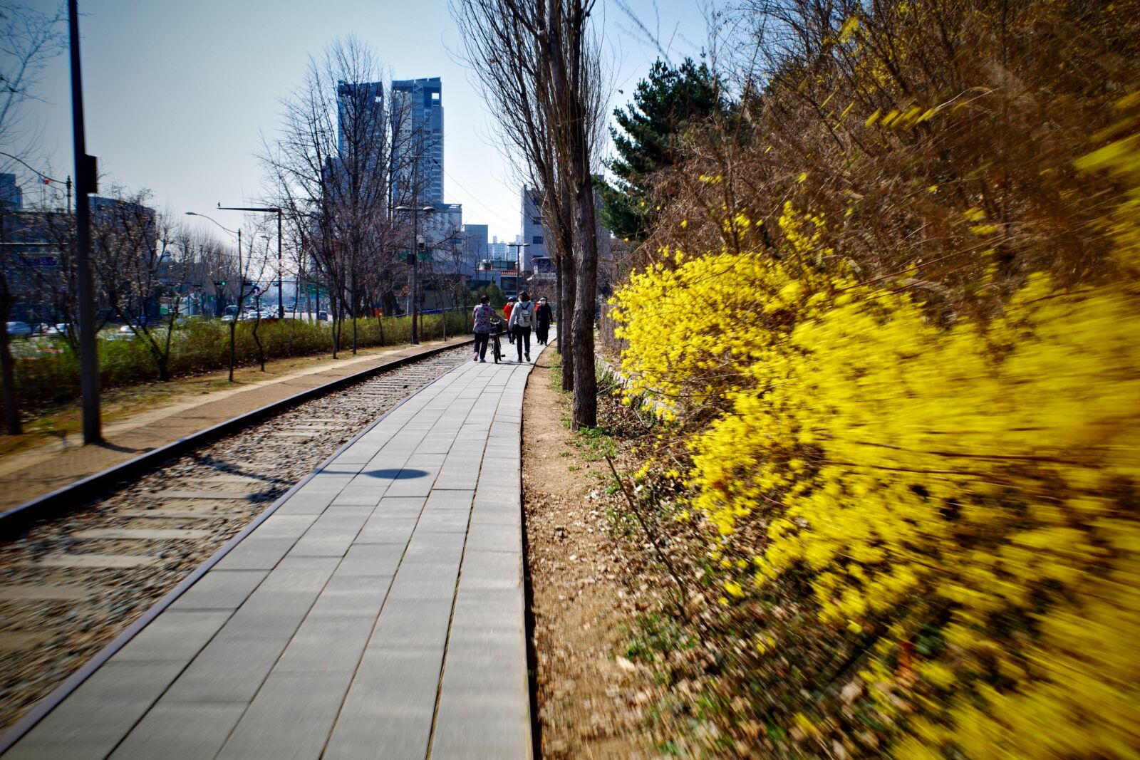 Ricoh GR III sample photo - MaY9jvJnMW - ExploreCams