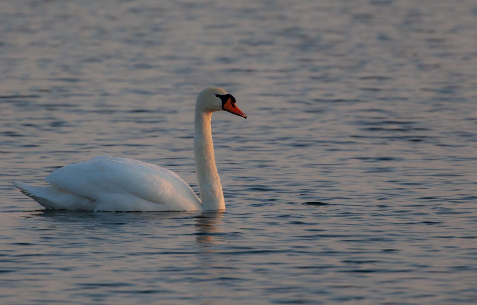 Canon EOS 5D Mark II sample photo - MeNRBNNBiT - ExploreCams