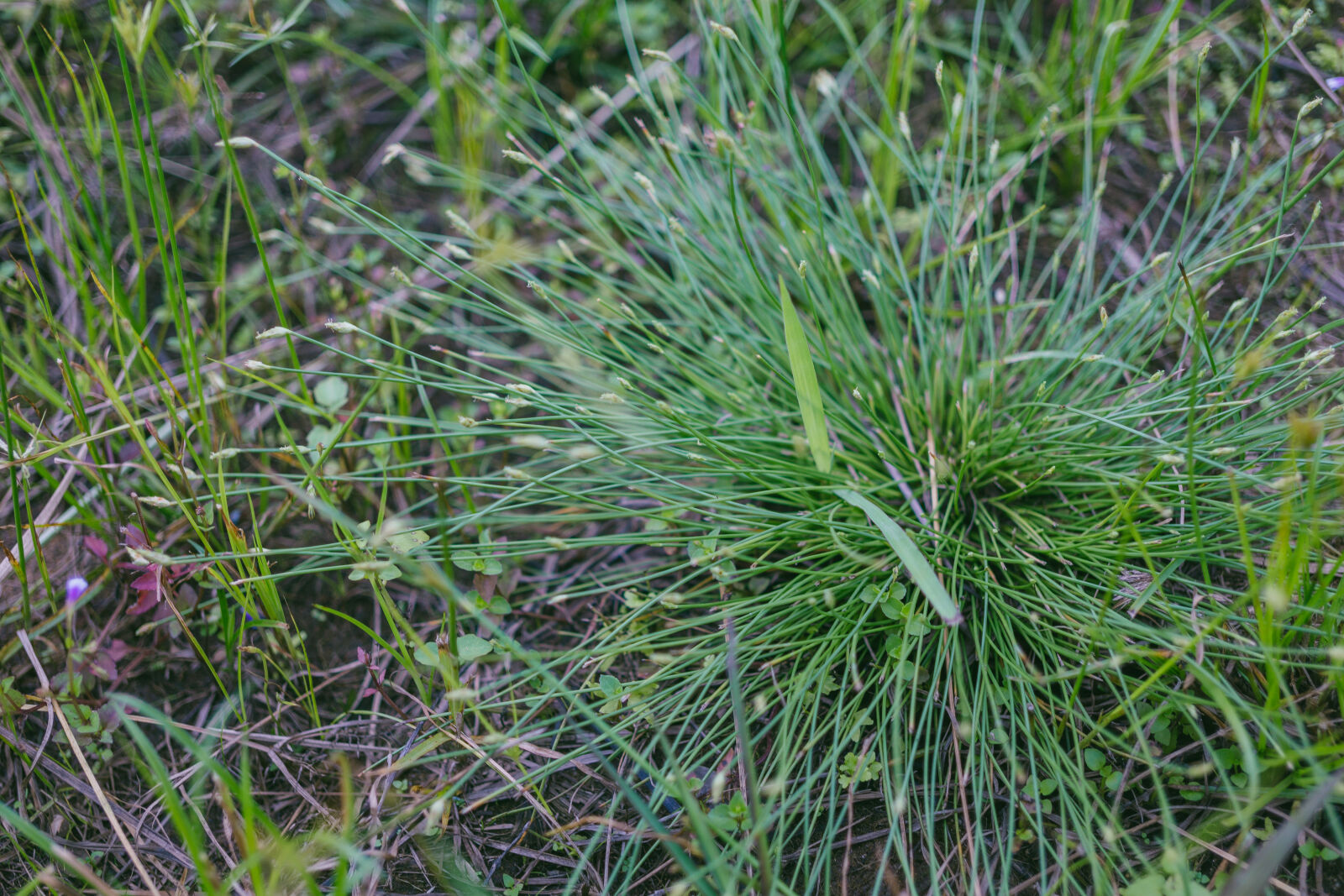 Sony A6000 Sample Photo ORD4zTG7nG ExploreCams Sony A6000 Sample Photo ORD4zTG7nG ExploreCams