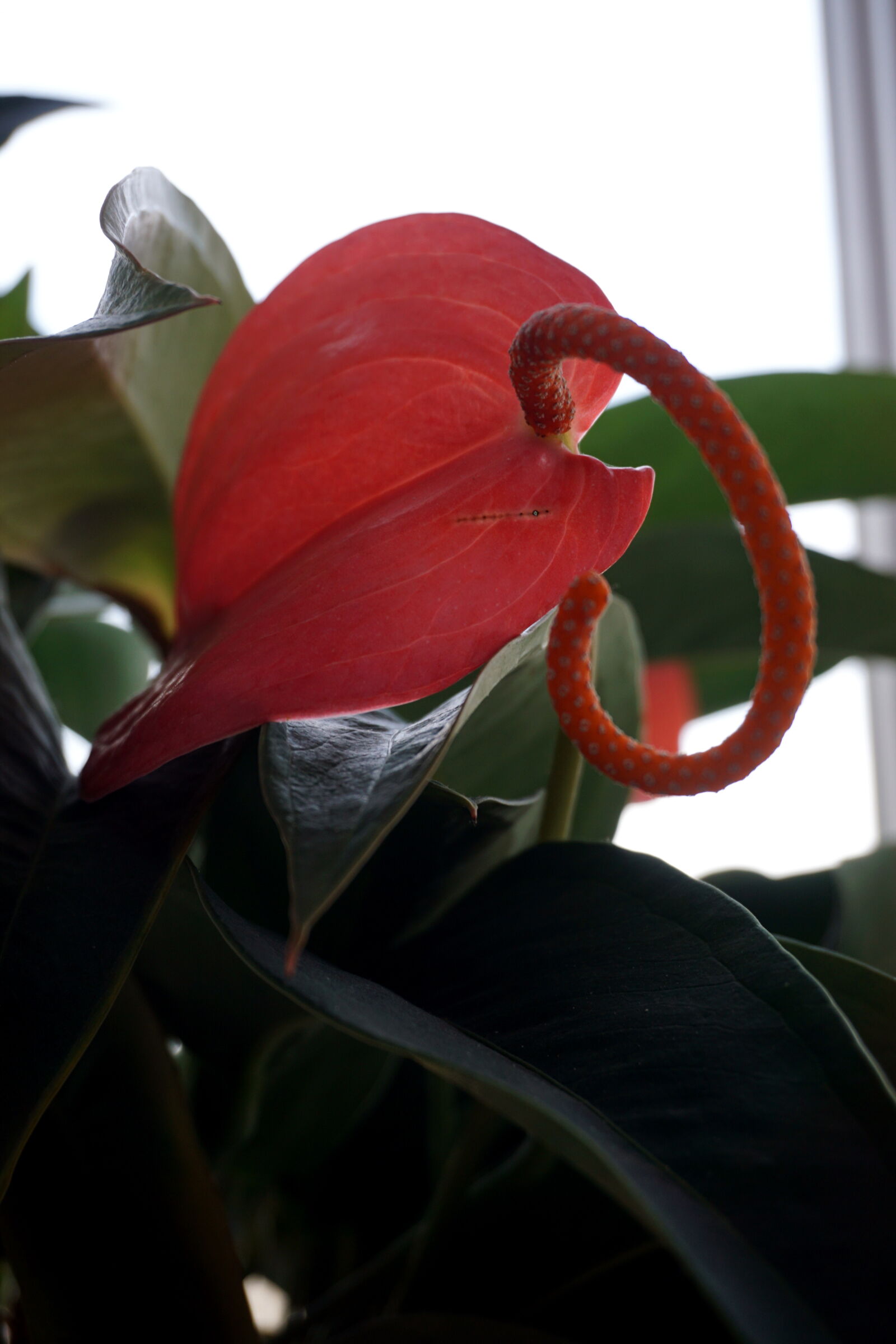 Sony a6000 sample photo - POMNTs6wK8 - ExploreCams