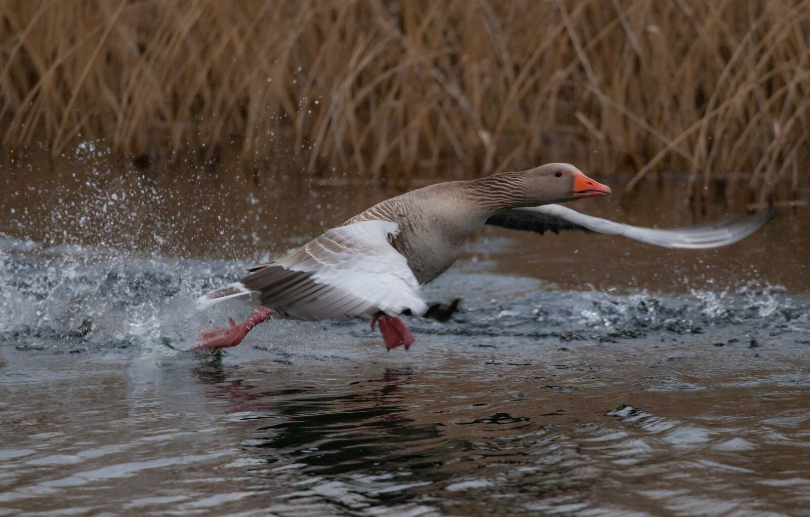 Canon EOS 5D Mark II sample photo - QKOm7RVr6P - ExploreCams