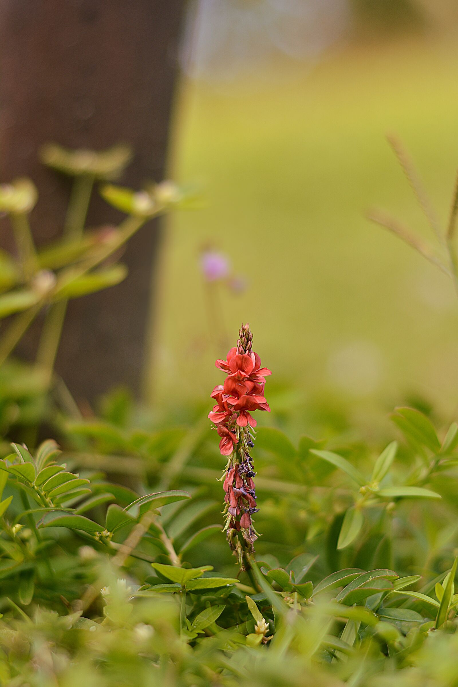 Nikon D5200 sample photo - QcVHaAzxxO - ExploreCams