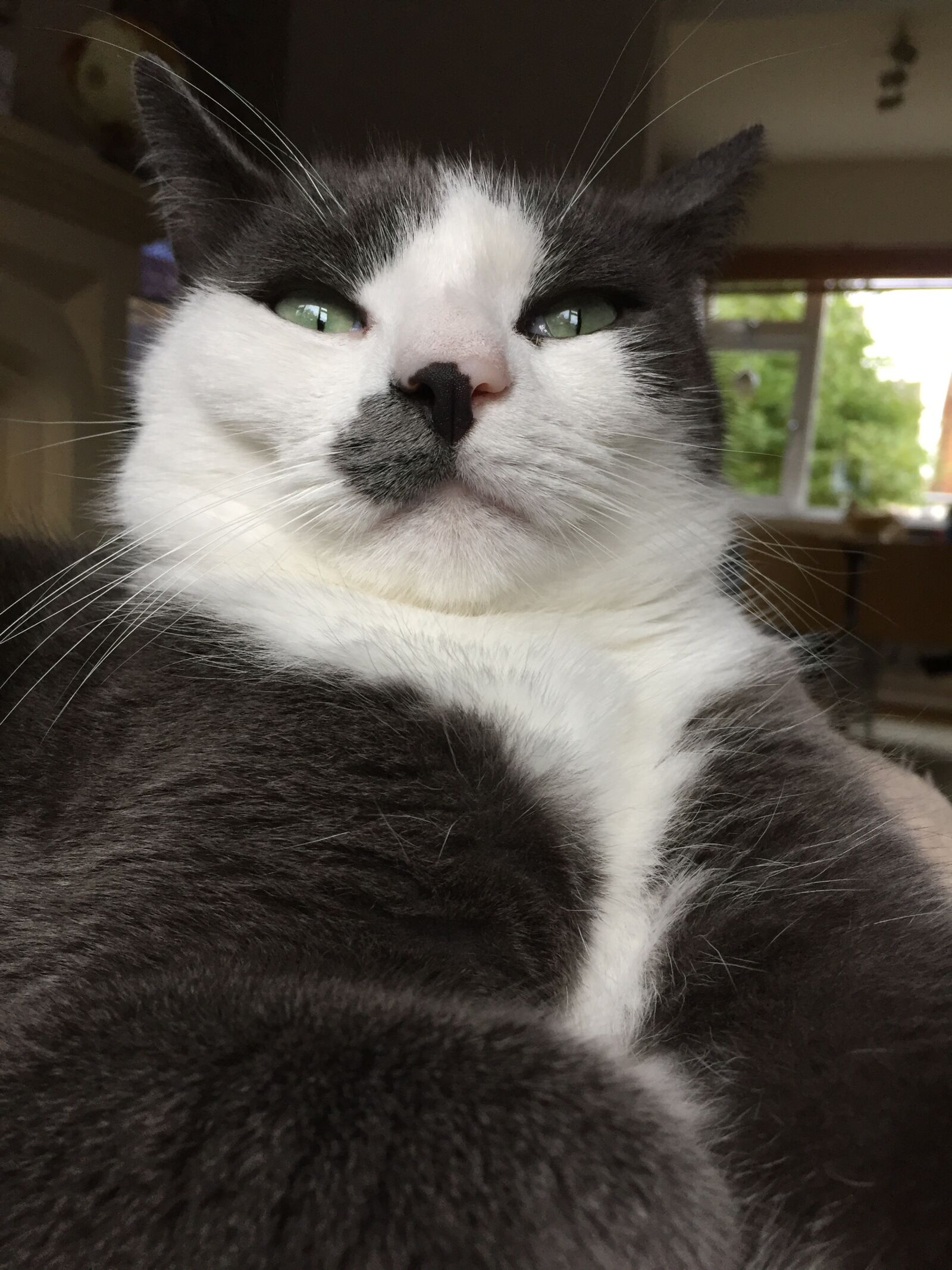 Apple iPhone 6 sample photo - QfuU6gJacl - ExploreCams