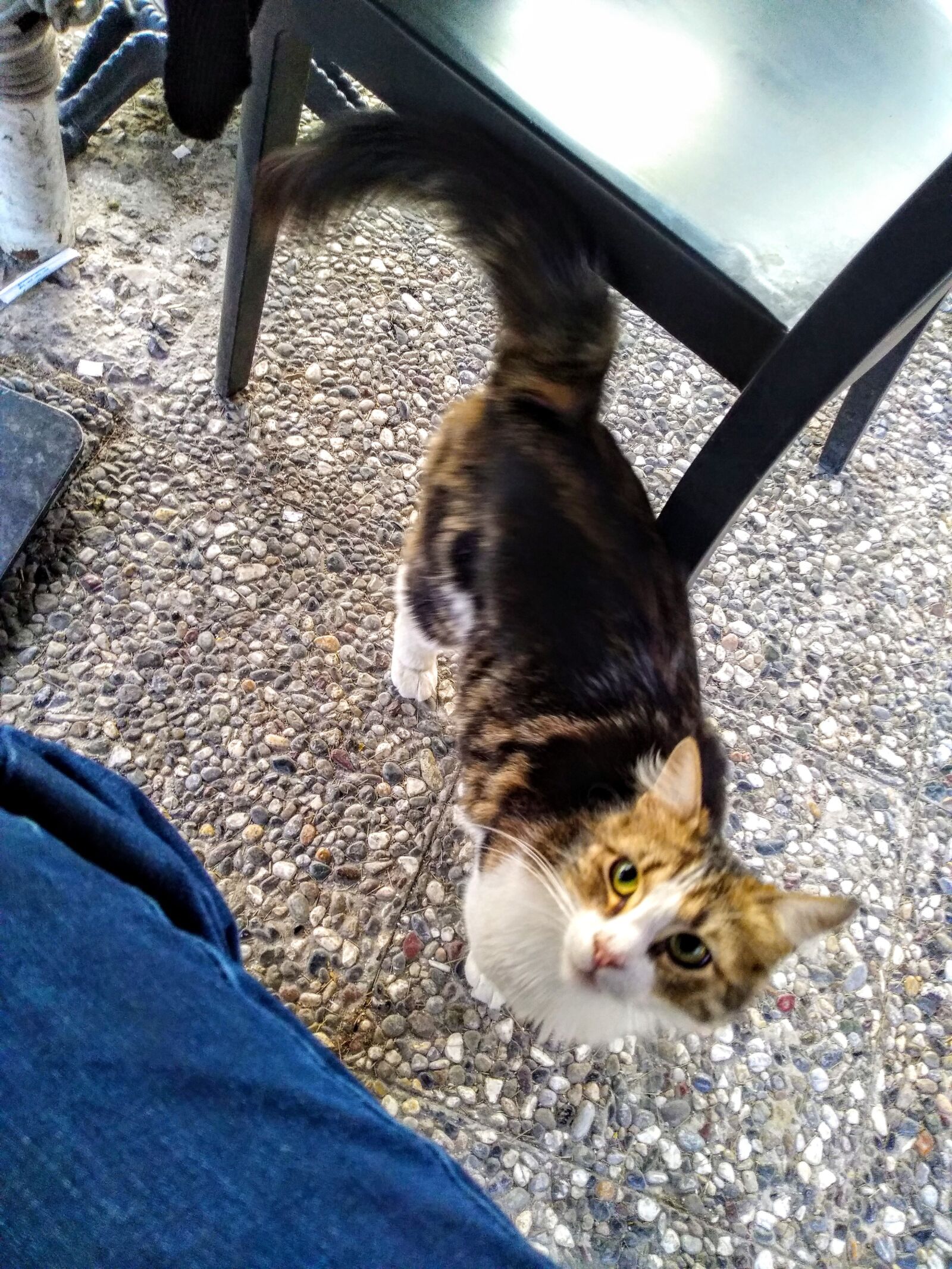 QCOM-AA QCAM-AA sample photo - RW7JX5dOpE - ExploreCams