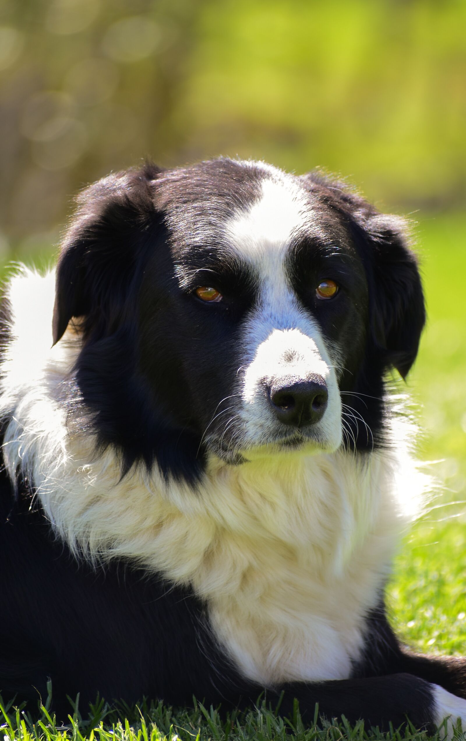 Nikon D3400 sample photo - S9myS6F8fm - ExploreCams