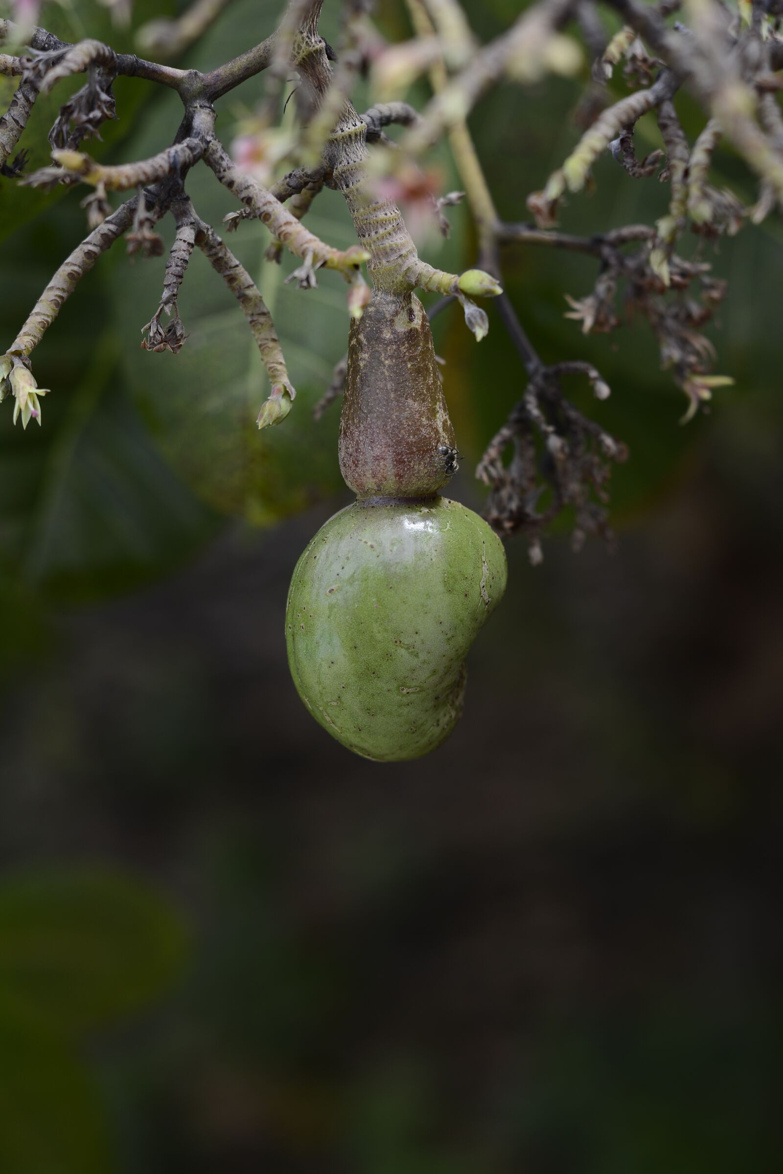 Nikon D5200 sample photo - SAUKRwncKO - ExploreCams