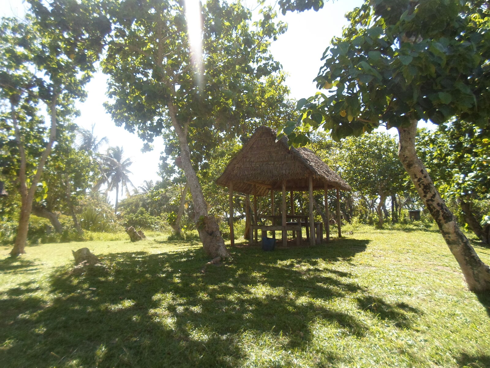 Samsung ST76 / ST78 / ST75 sample photo - SJLyv7kr4w - ExploreCams