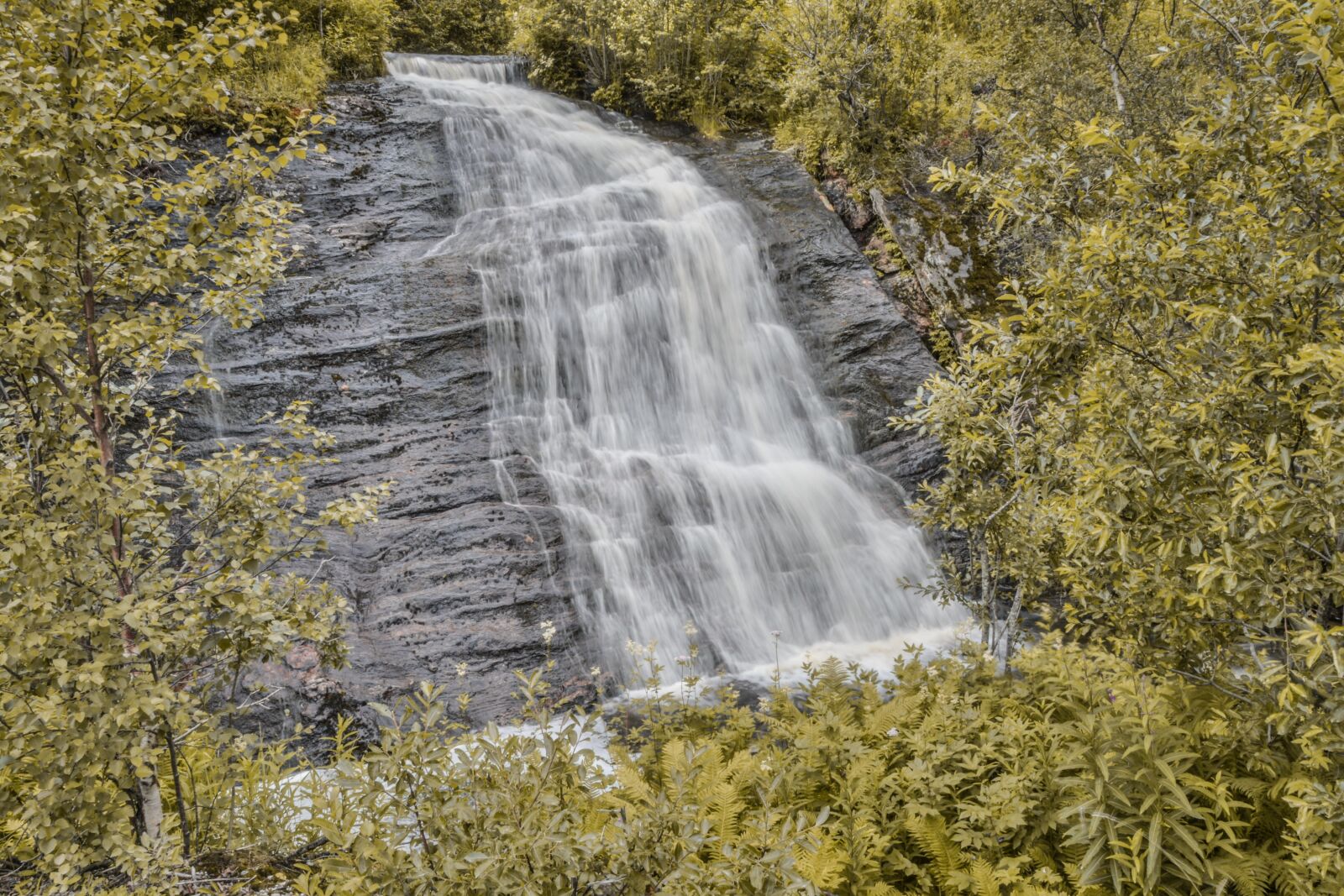 Nikon D5200 sample photo - SLFS2eA6Rs - ExploreCams