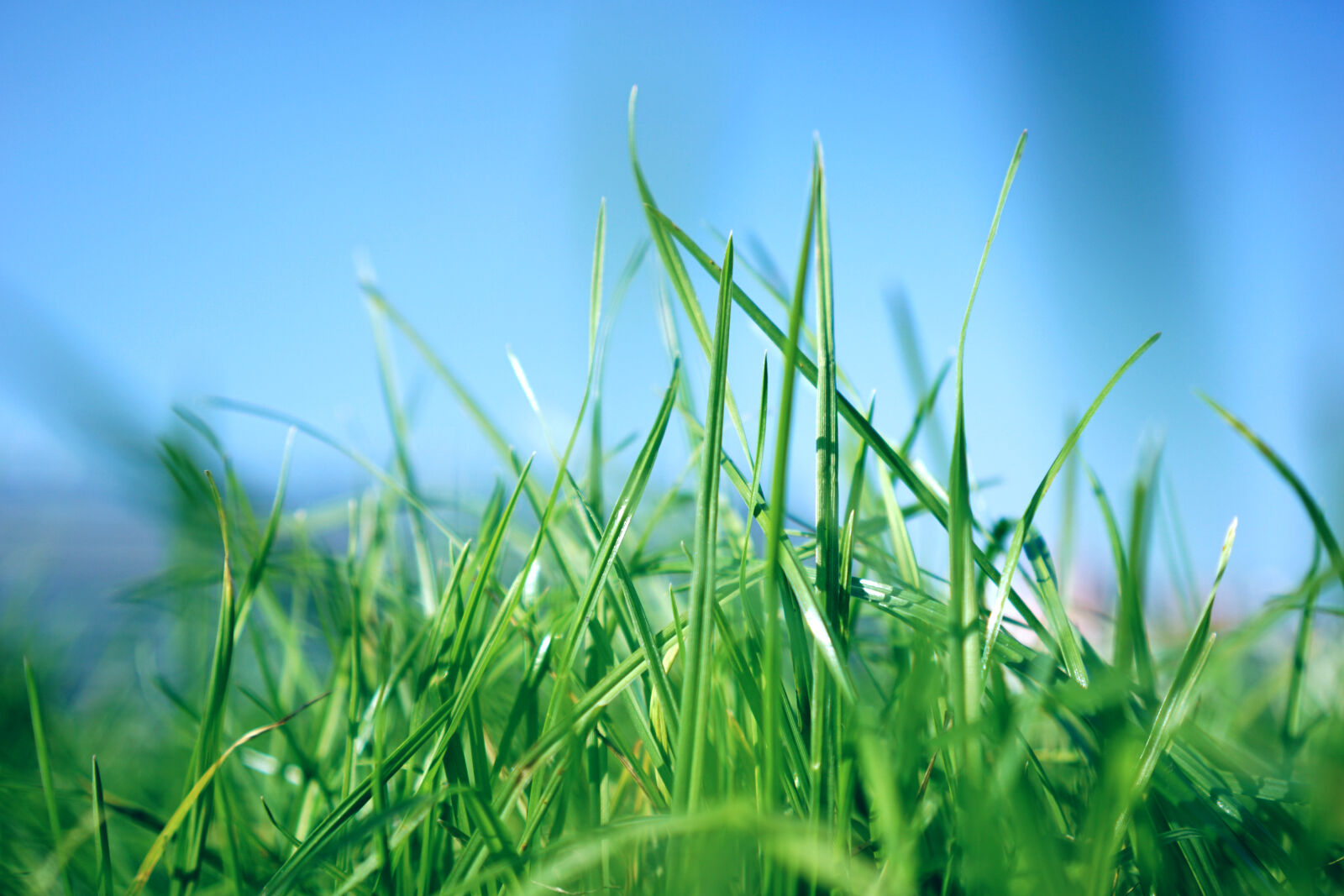 Sony A6000 Sample Photo Sj3ZPG1RGI ExploreCams Sony A6000 Sample Photo Sj3ZPG1RGI ExploreCams