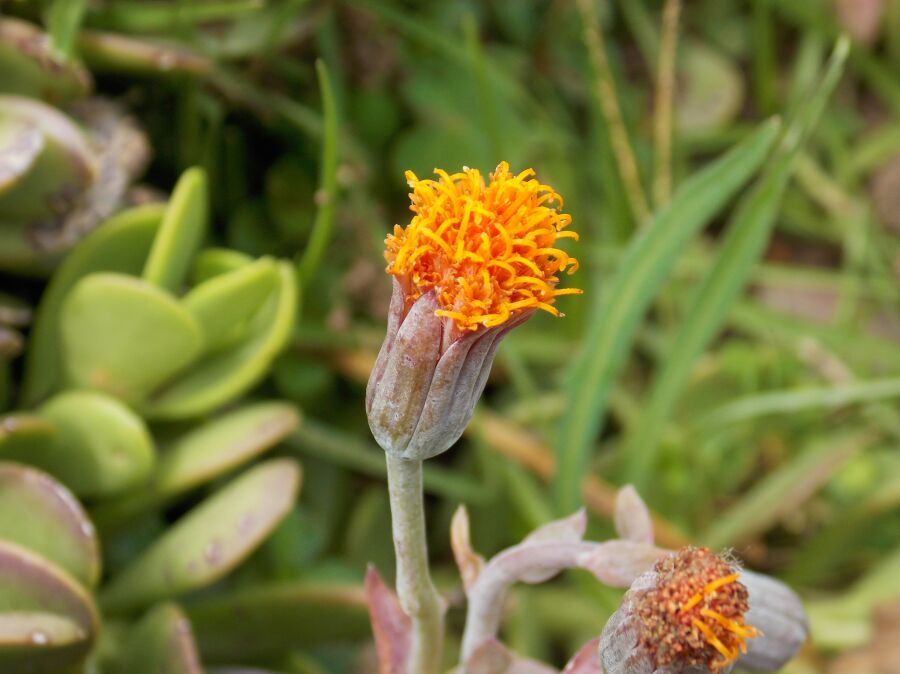 Nikon COOLPIX L320 sample photo - UbdDR5KB2L - ExploreCams