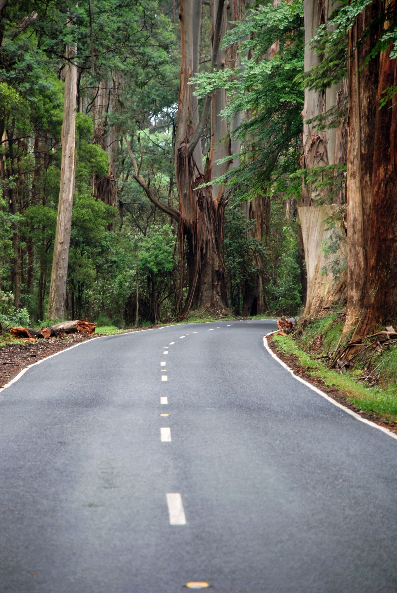 Nikon D80 sample photo - Vlet7AZy9x - ExploreCams