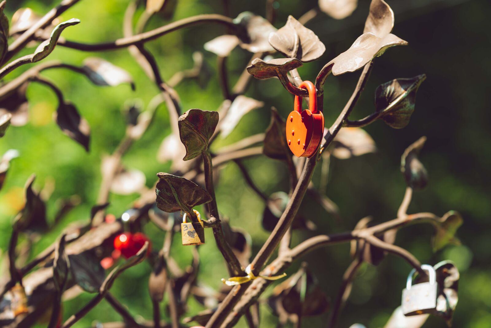 Nikon D750 sample photo - WbmjonEiVE - ExploreCams