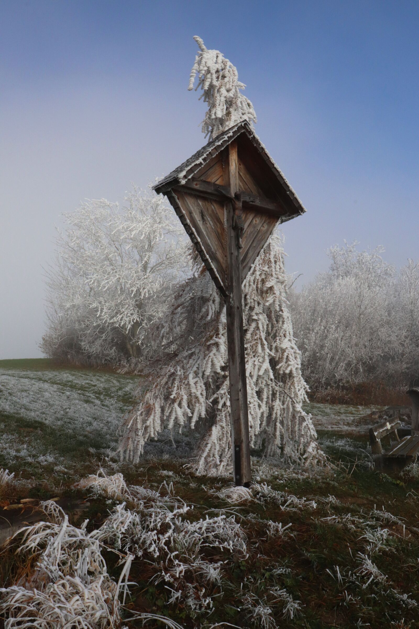 Canon EOS 77D (EOS 9000D / EOS 770D) sample photo - Xr40PI6m8z ...