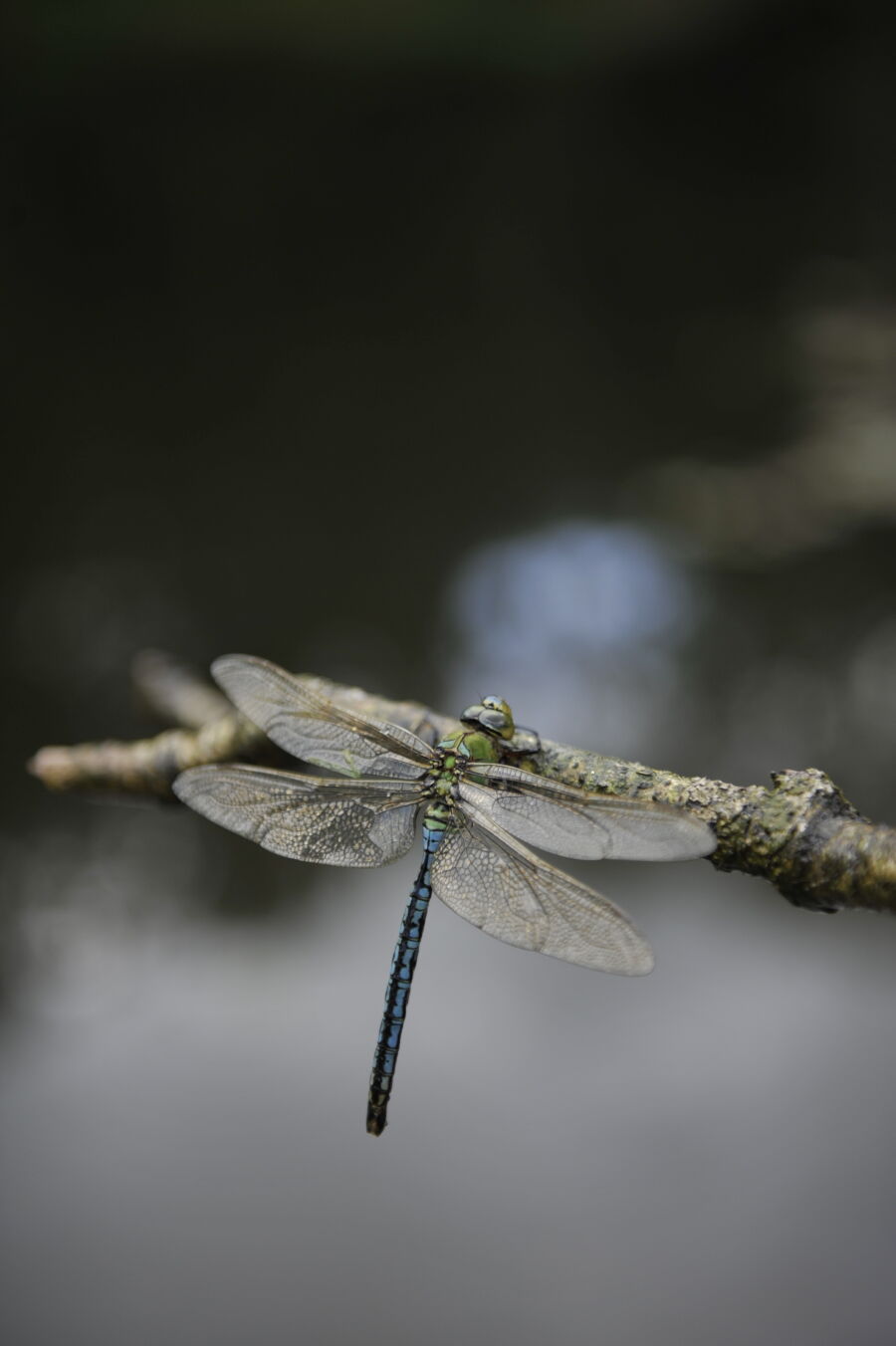 Nikon D700 sample photo - YEQbvJu2VM - ExploreCams