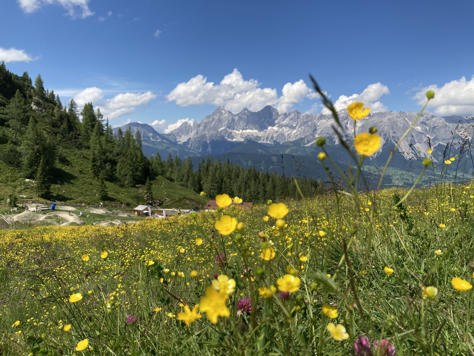 Apple iPhone SE (2nd generation) sample photo - YS7l416fXd - ExploreCams