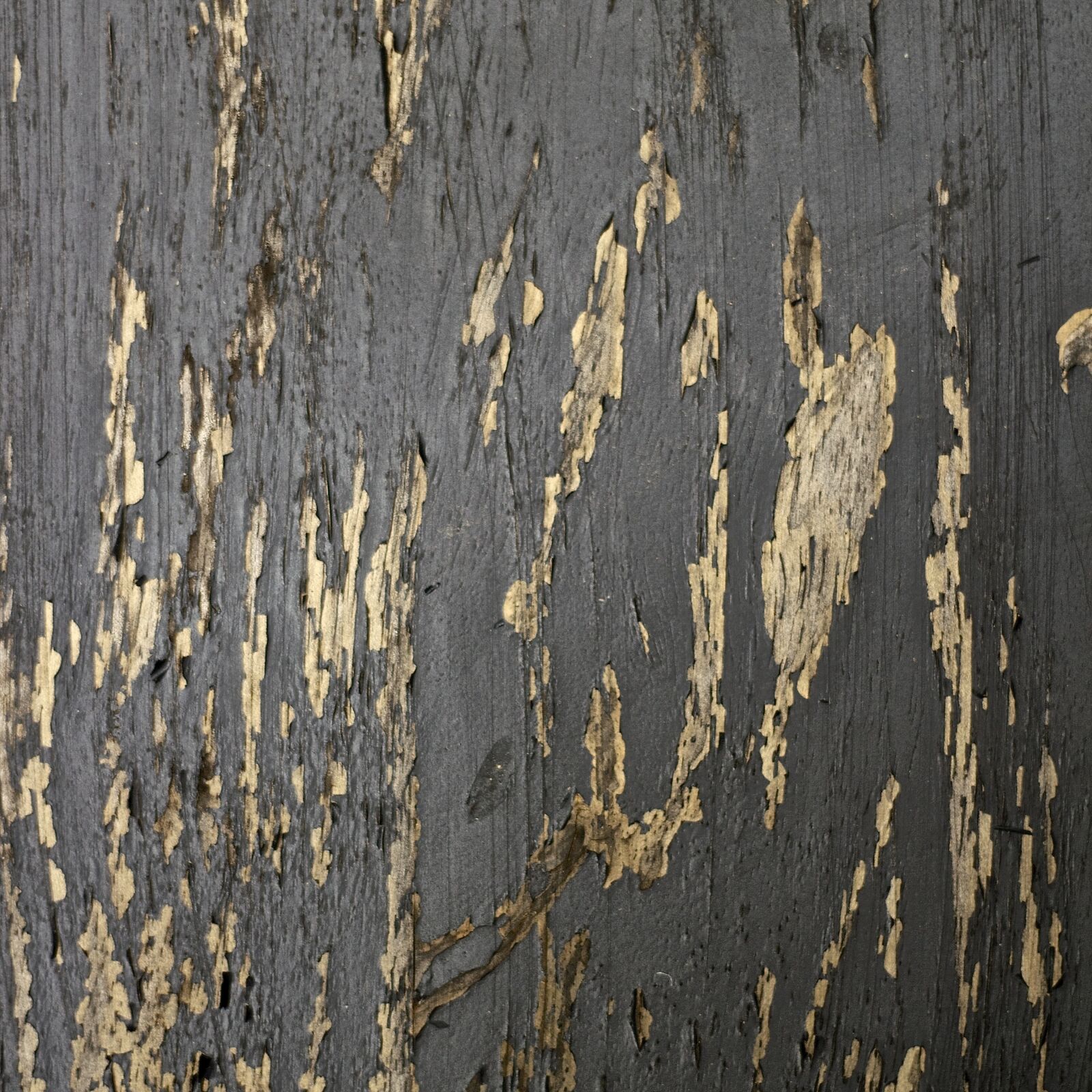 Canon EOS 550D (EOS Rebel T2i / EOS Kiss X4) sample photo - YWUseiJnpc ...