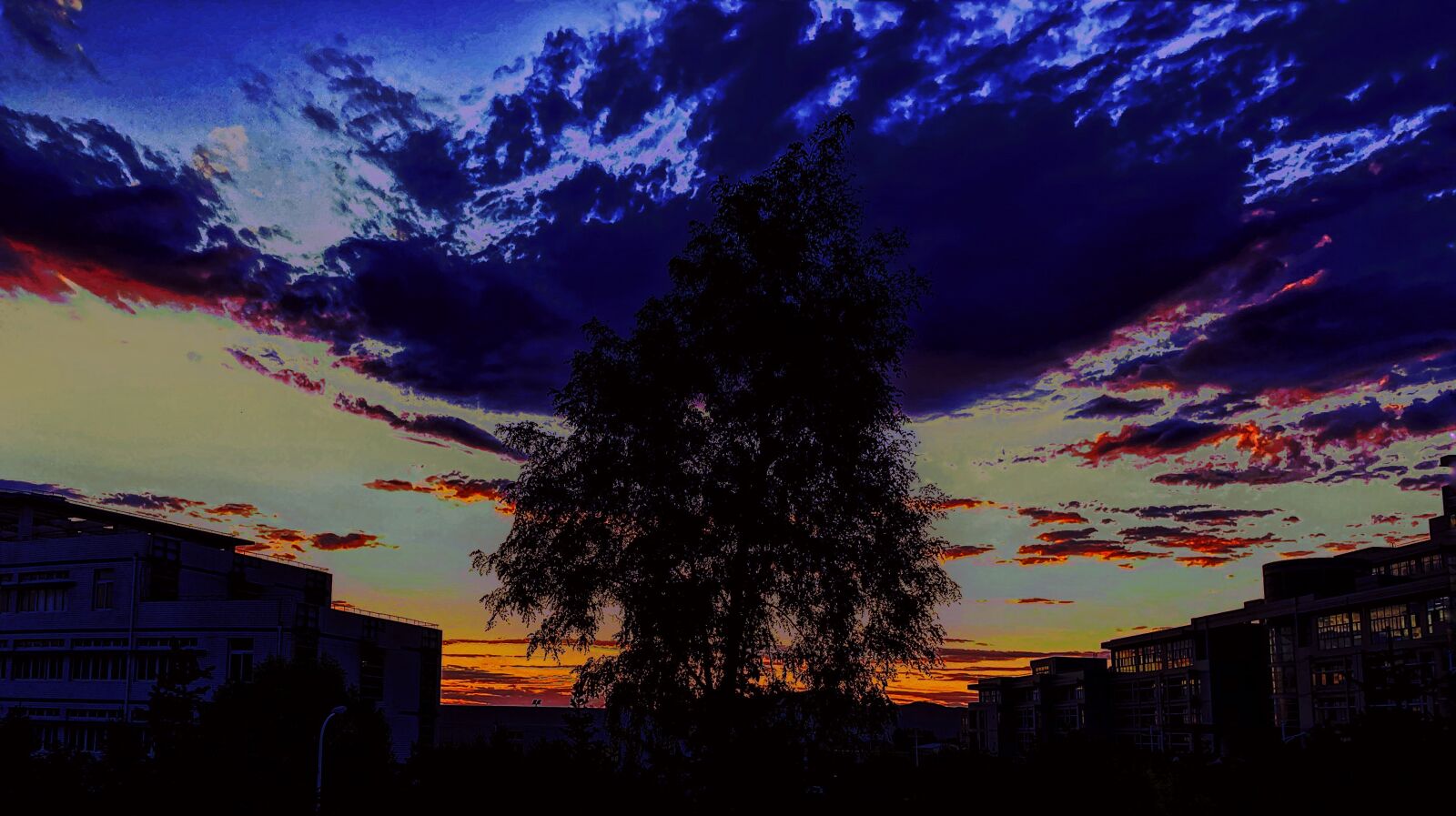 Apple iPhone SE (2nd generation) sample photo - ZBG6uRXxs0 - ExploreCams