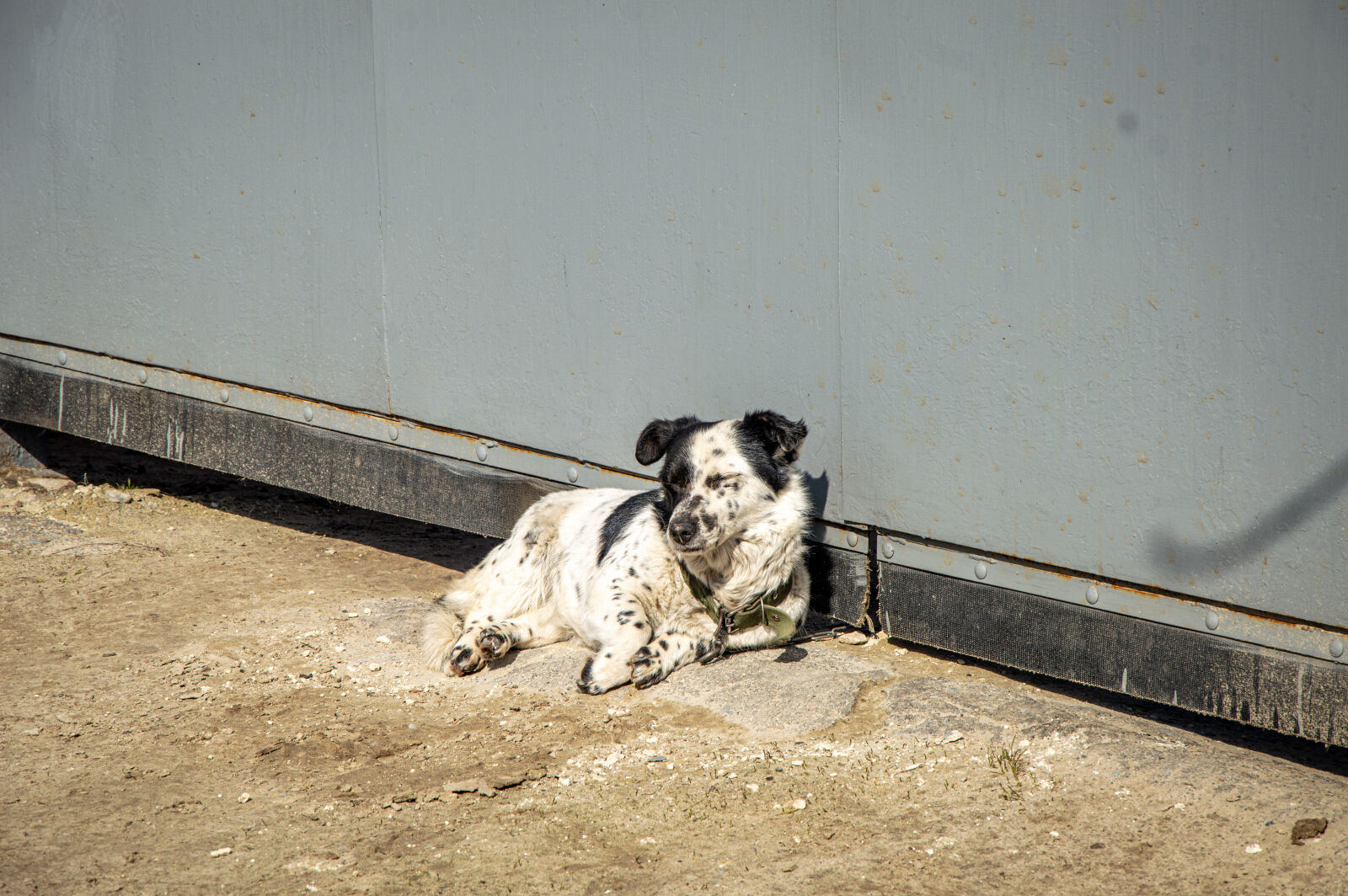 Nikon D3200 sample photo - ZRyVkHIuhL - ExploreCams