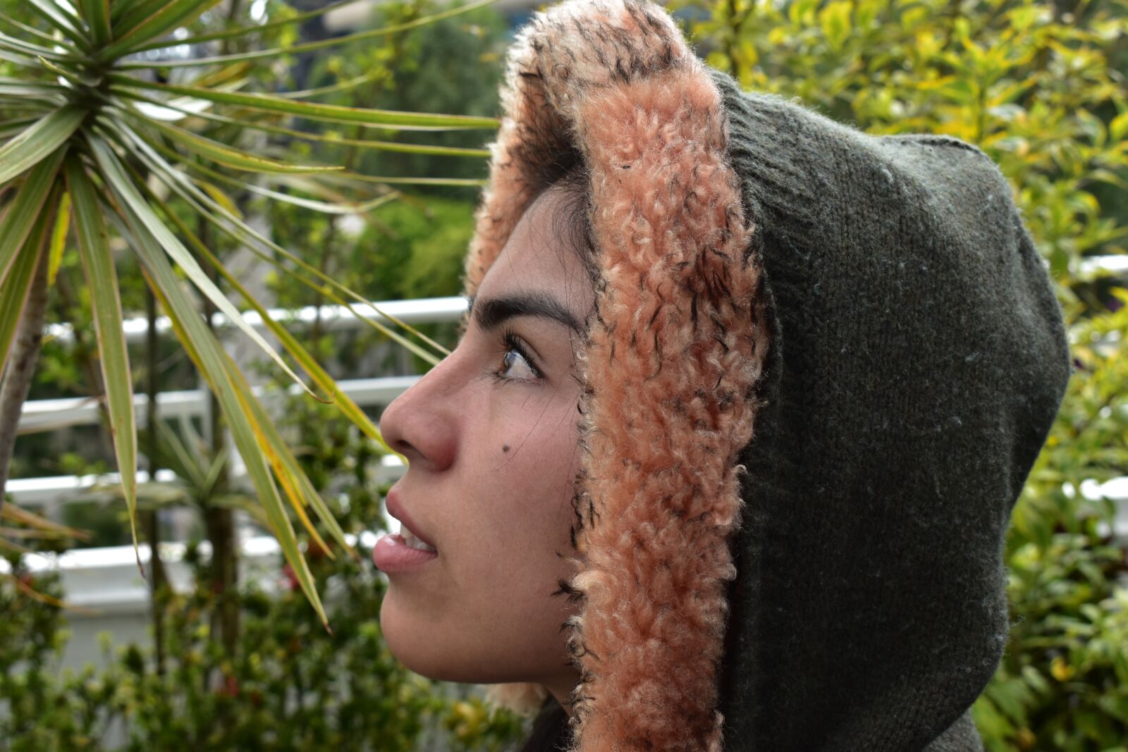 Nikon D5600 sample photo - acu0QiyXQF - ExploreCams