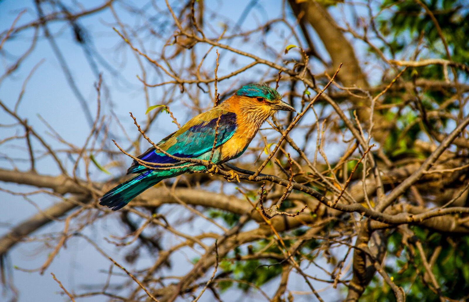 Canon EOS 7D sample photo - bw0H4f3x0C - ExploreCams