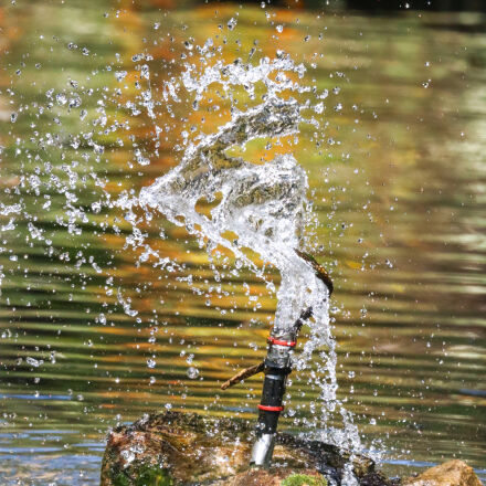 Canon EOS R100 sample photos - ExploreCams