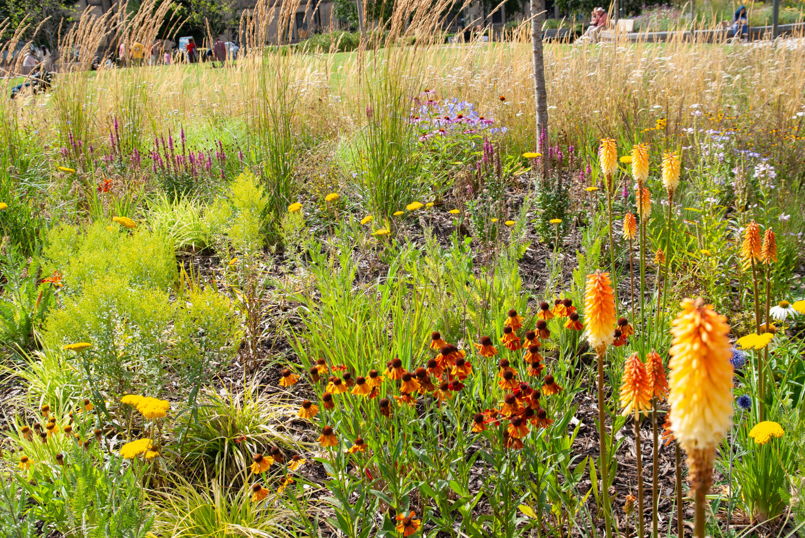 Nikon D80 sample photo - cGzjl0UbWh - ExploreCams