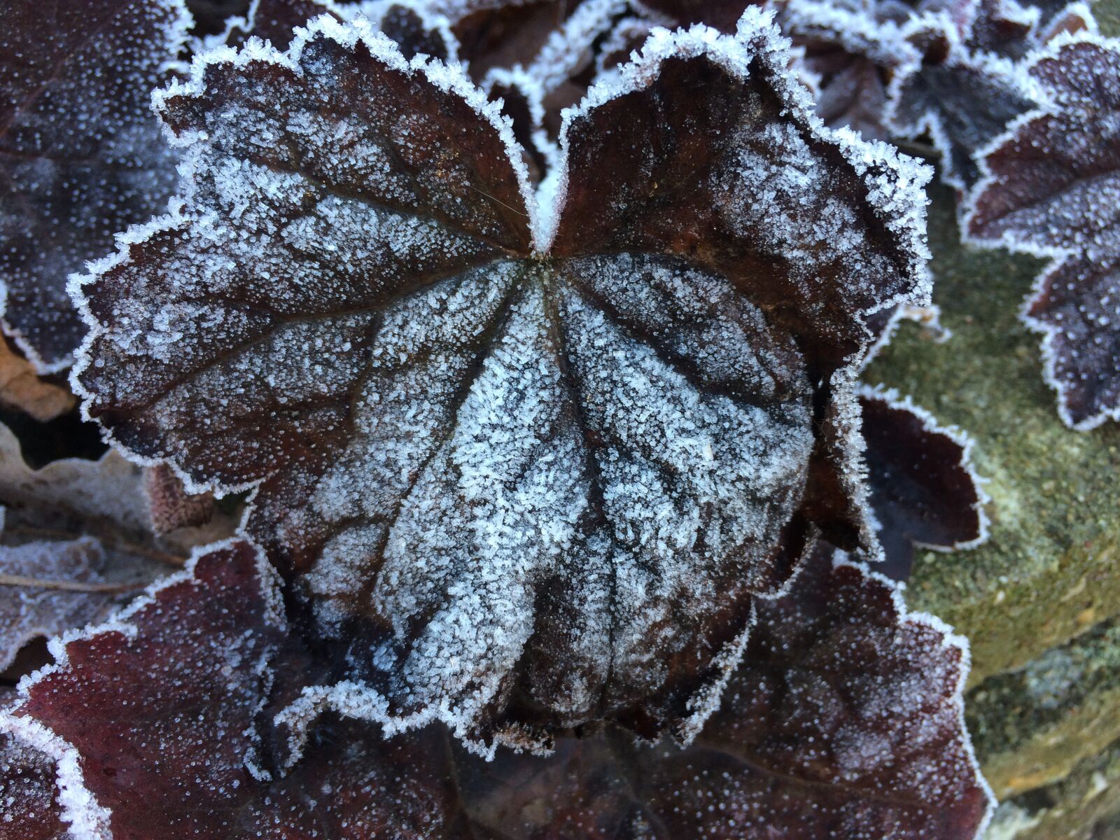 Apple iPhone 5s sample photo - cTpPaOsSSl - ExploreCams