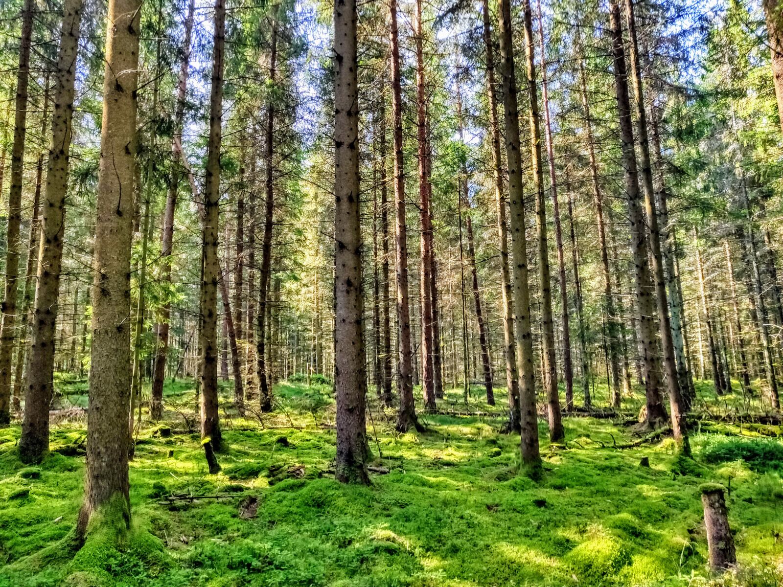 OnePlus 6T Sample Photo CcKpJGIBYV ExploreCams OnePlus 6T Sample Photo CcKpJGIBYV ExploreCams