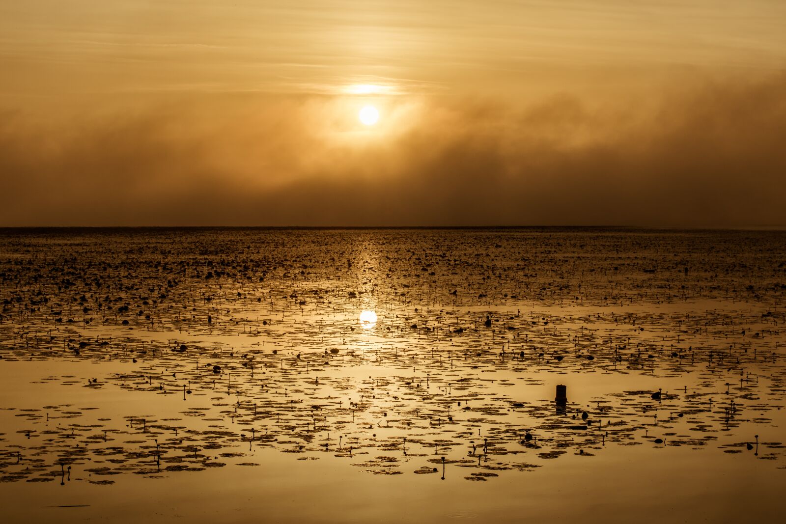 Canon EOS 7D Mark II sample photo - d7kPCjeWqU - ExploreCams