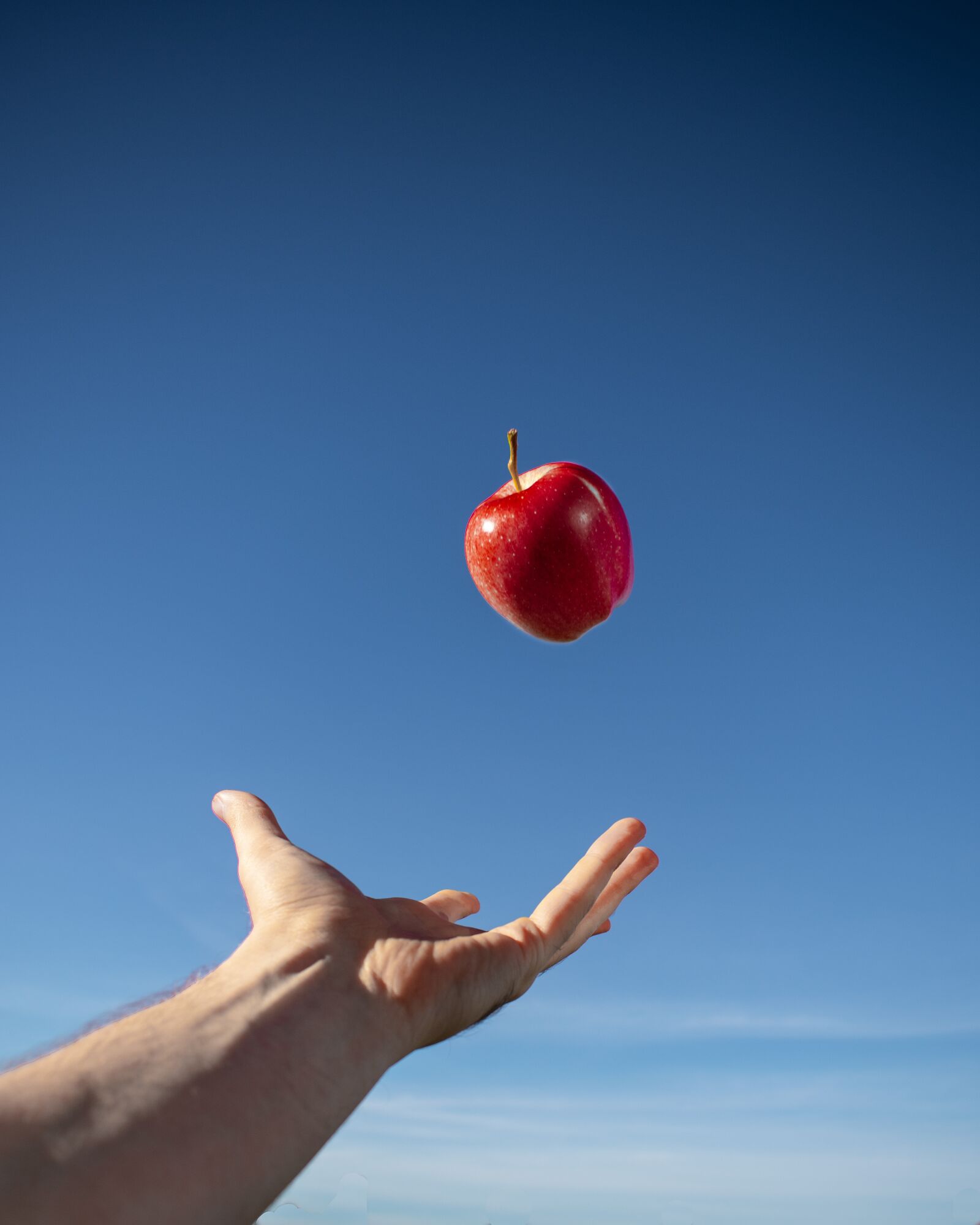 Nikon D3400 sample photo - dAh4FaNBut - ExploreCams