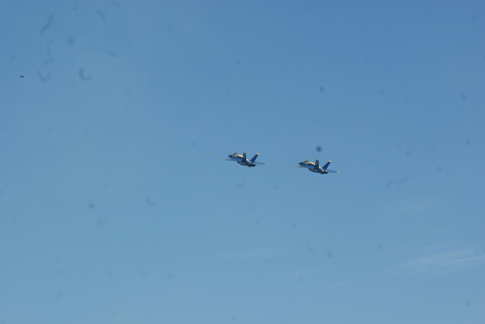 Sony Alpha DSLR-A230 sample photo - eOdbL1GqBz - ExploreCams