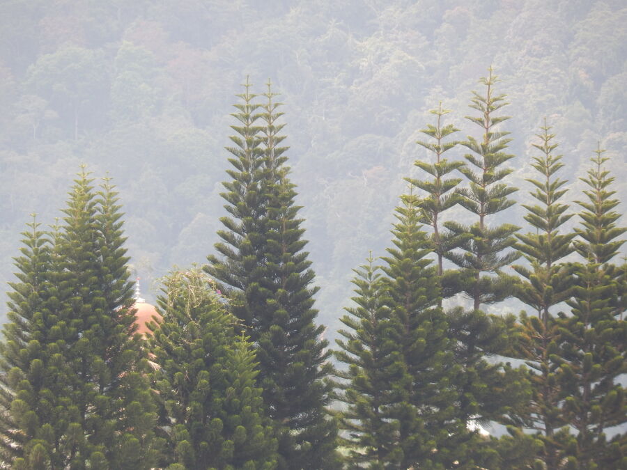 Nikon Coolpix L830 sample photo - gRUCKNvRdT - ExploreCams