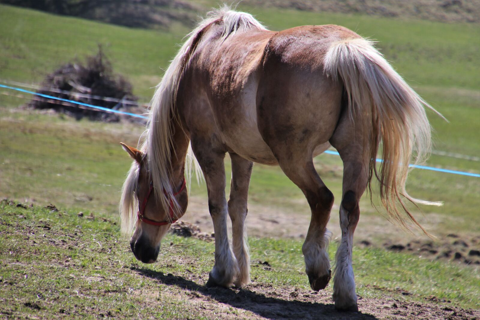 Canon EOS 80D sample photo - iRTR1jTzCl - ExploreCams